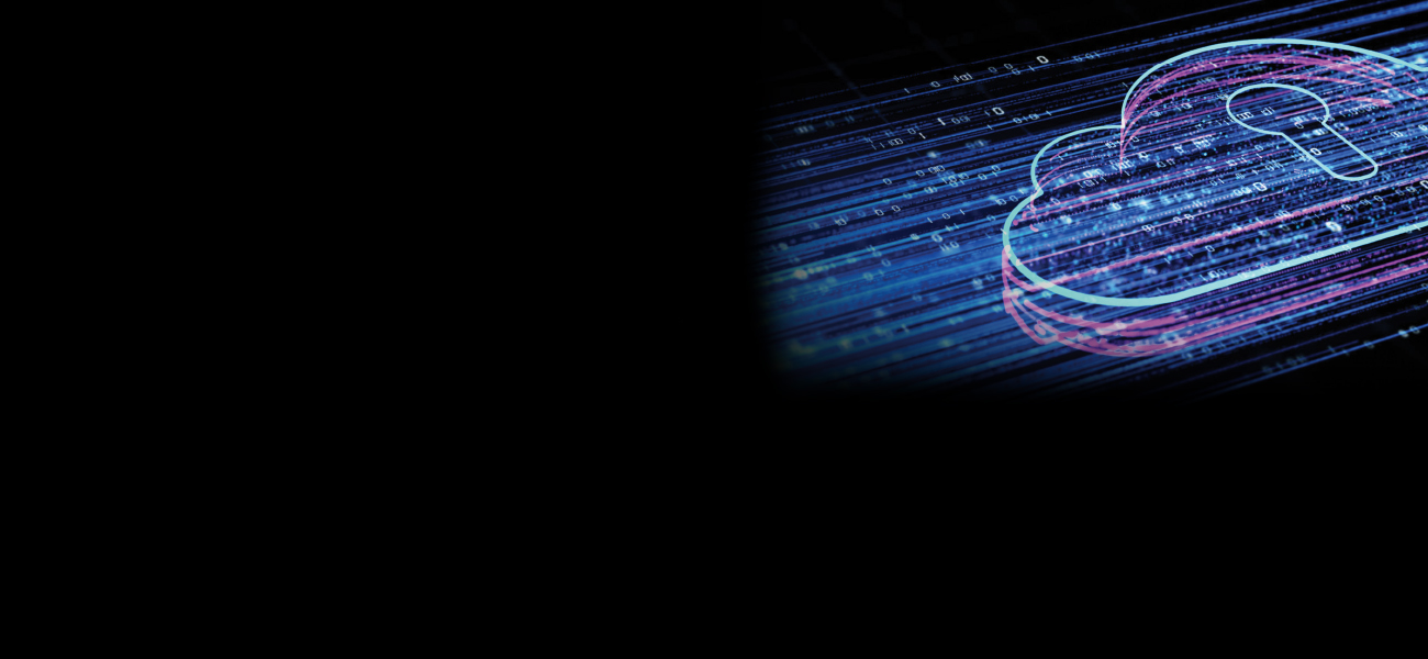 Visionary IT Distributor in Asia - TruVisor